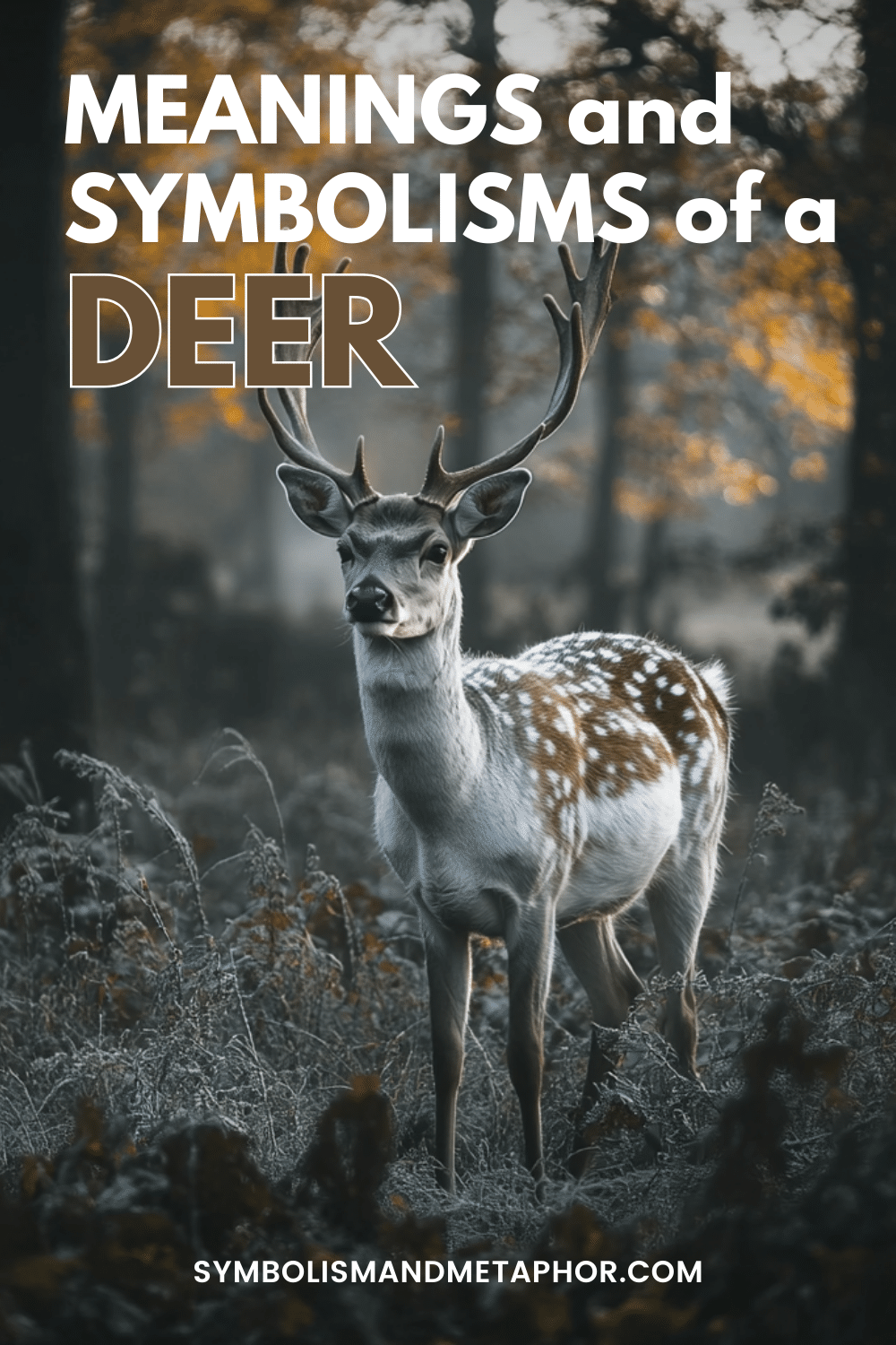 Symbolism of Deer (15 Surprising Meanings) - 2026