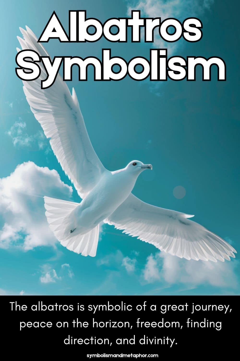 Albatross Symbolism and Metaphor (7 Meanings) - Dreams, Sightings ...