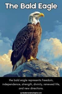 What does the Bald Eagle Represent in the USA?