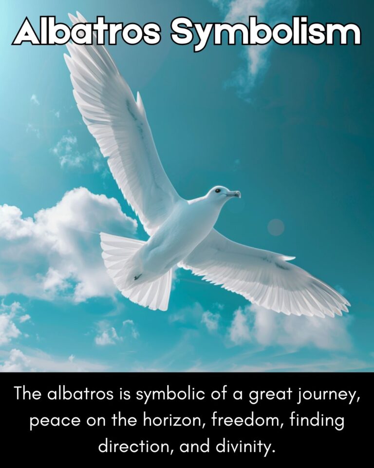 Albatross Symbolism and Metaphor (7 Meanings) - Dreams, Sightings ...