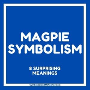 What does a Magpie Symbolize? (8 Surprising Meanings)