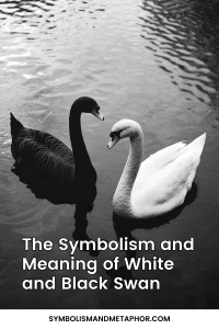 What does the Swan Symbolize? (White, Black) - 10 Meanings