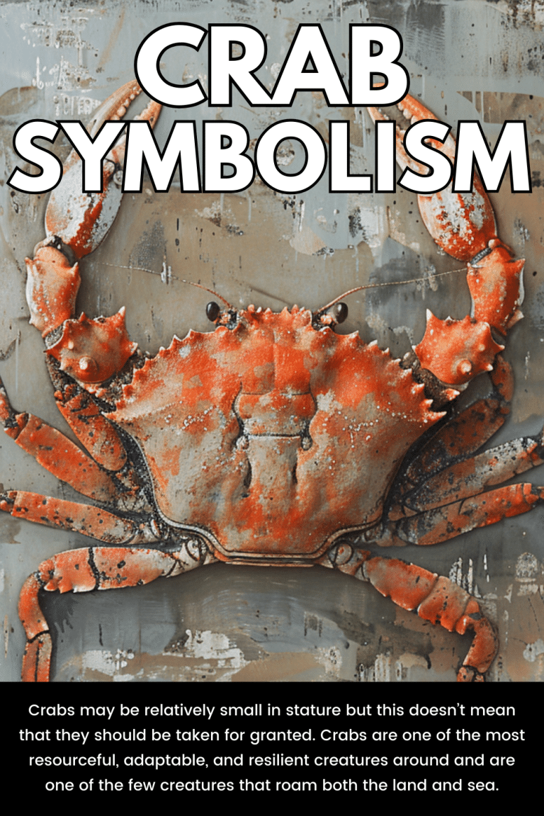 Crab Symbolism (7 Top Meanings) – Dreams & Spirit Animals