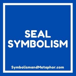 Seal Symbolism (7 Meanings) - Spirit Animal & Dreams