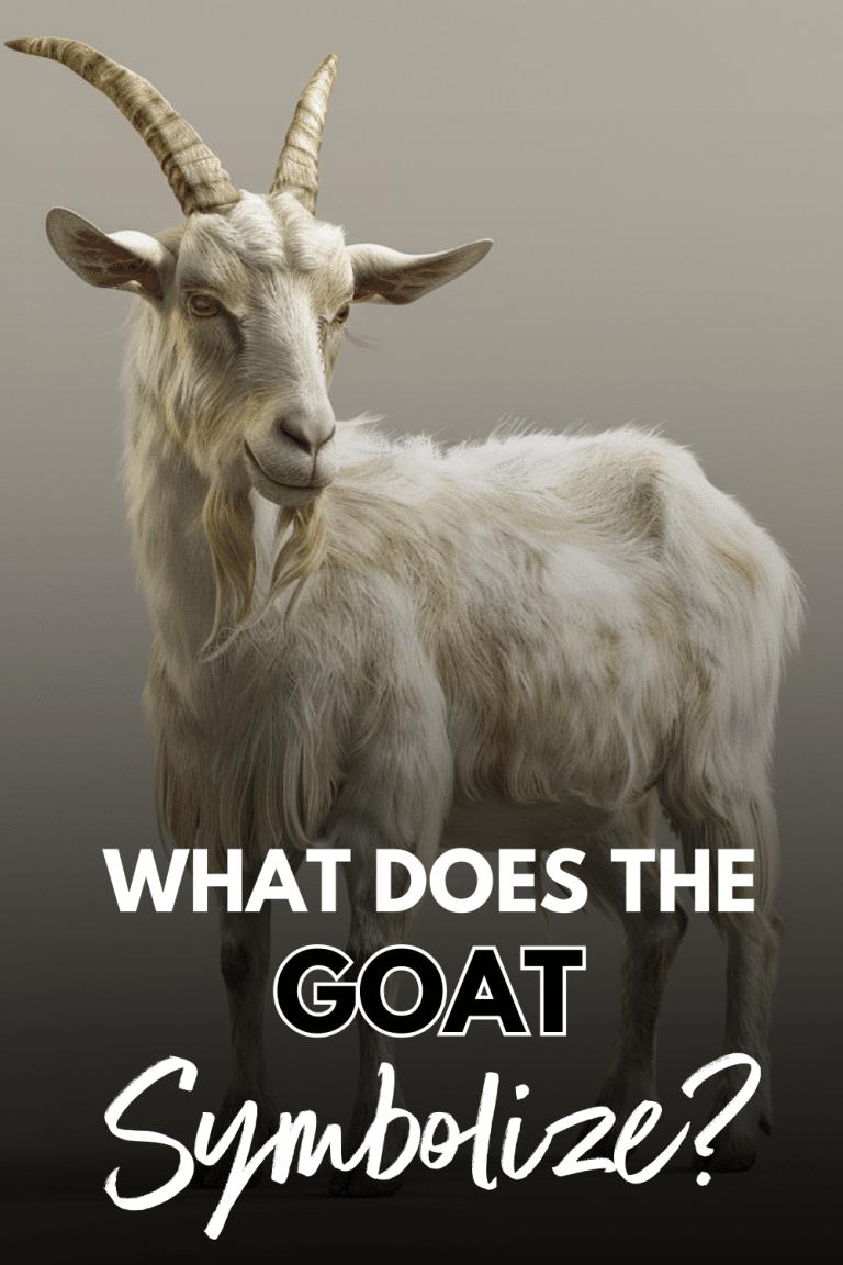 Goat Symbolism (8 Meanings) - Dreams & Spirit Animals