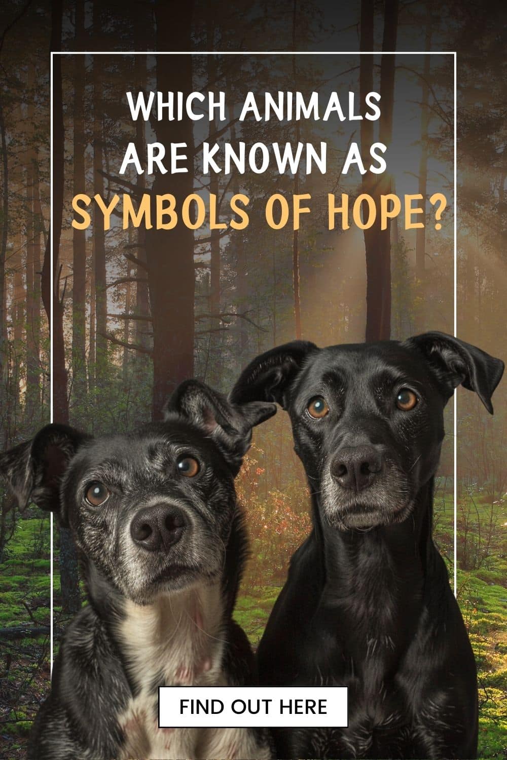 9 Animals That Symbolize Hope? (Doves, Fauns, etc)