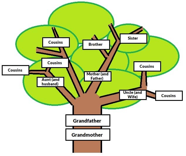 23 Best Family Metaphors Similes Analogies 2022 