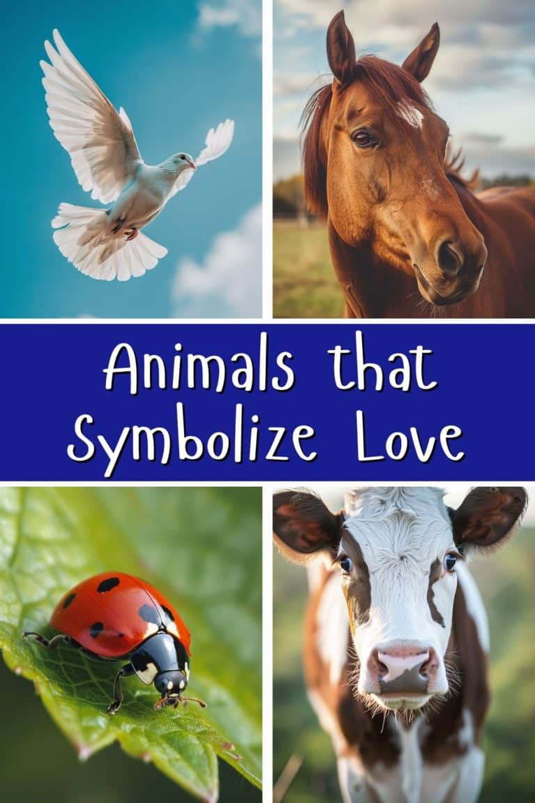 13 Animals That Symbolize Love (A to Z List)