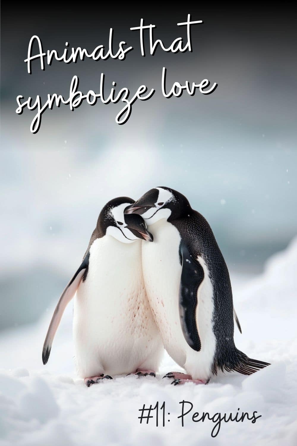 13 Animals That Symbolize Love (A to Z List)