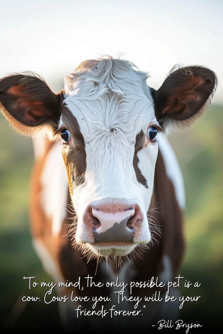 13 Animals That Symbolize Love (A to Z List)