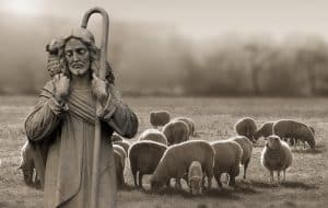 Shepherd Symbolism & Meaning (Leadership & Faith)