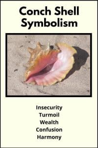 Conch Shell Meaning and Symbolism (Confusion & Harmony)