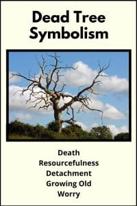 Dreaming of a Dead Tree Symbolism and Meaning (Death & End)