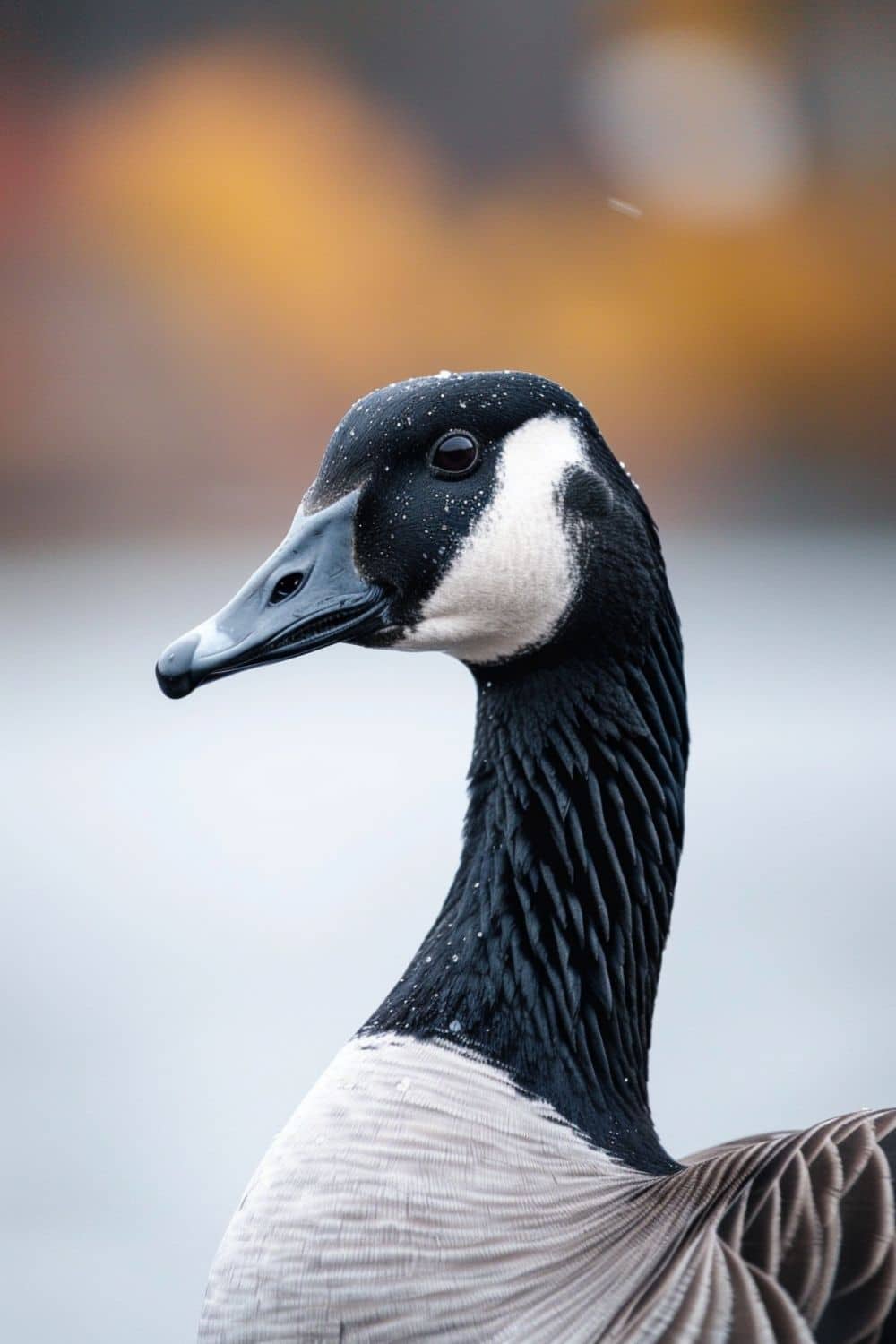 11 Animals that Symbolize Loyalty (A to Z List)