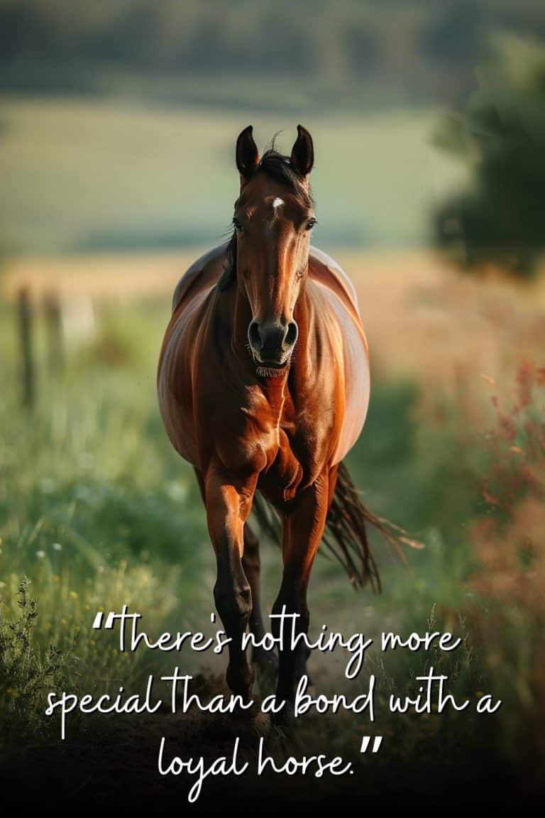 11 Animals that Symbolize Loyalty (A to Z List)