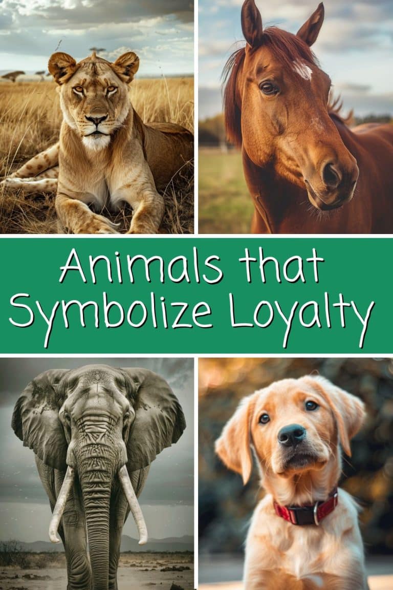 11 Animals that Symbolize Loyalty (A to Z List)