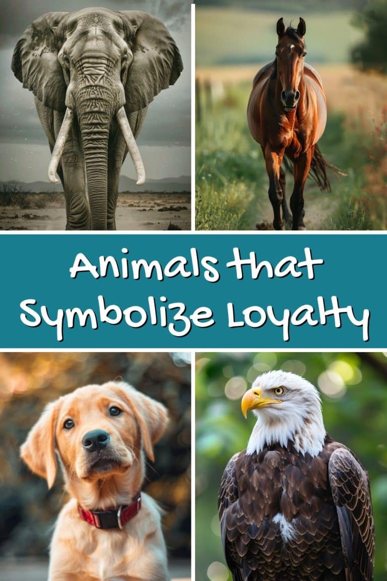 11 Animals that Symbolize Loyalty (A to Z List)