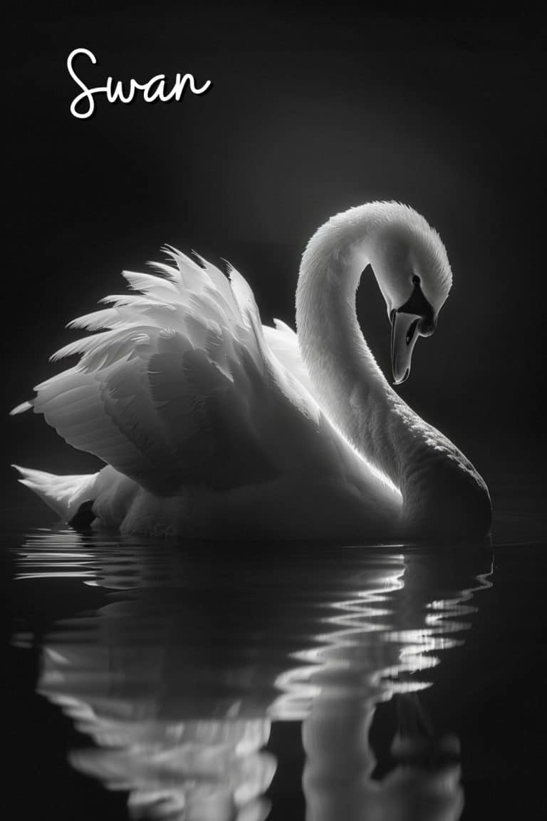 11 Animals that Symbolize Loyalty (A to Z List)