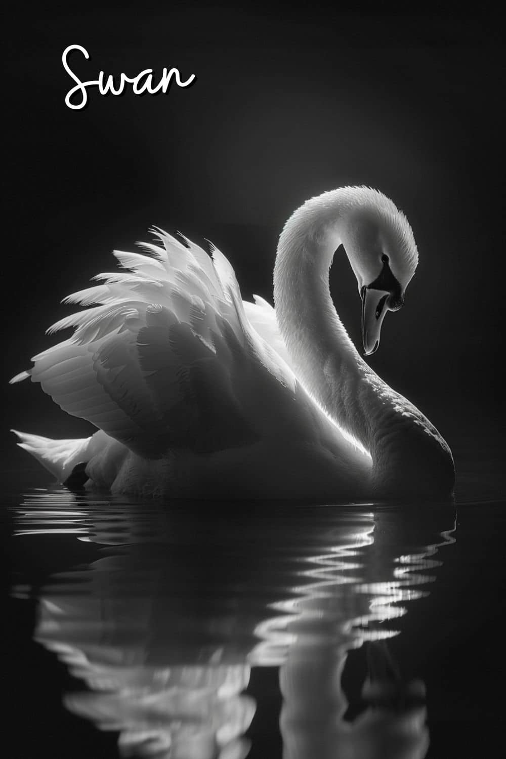 11 Animals that Symbolize Loyalty (A to Z List)