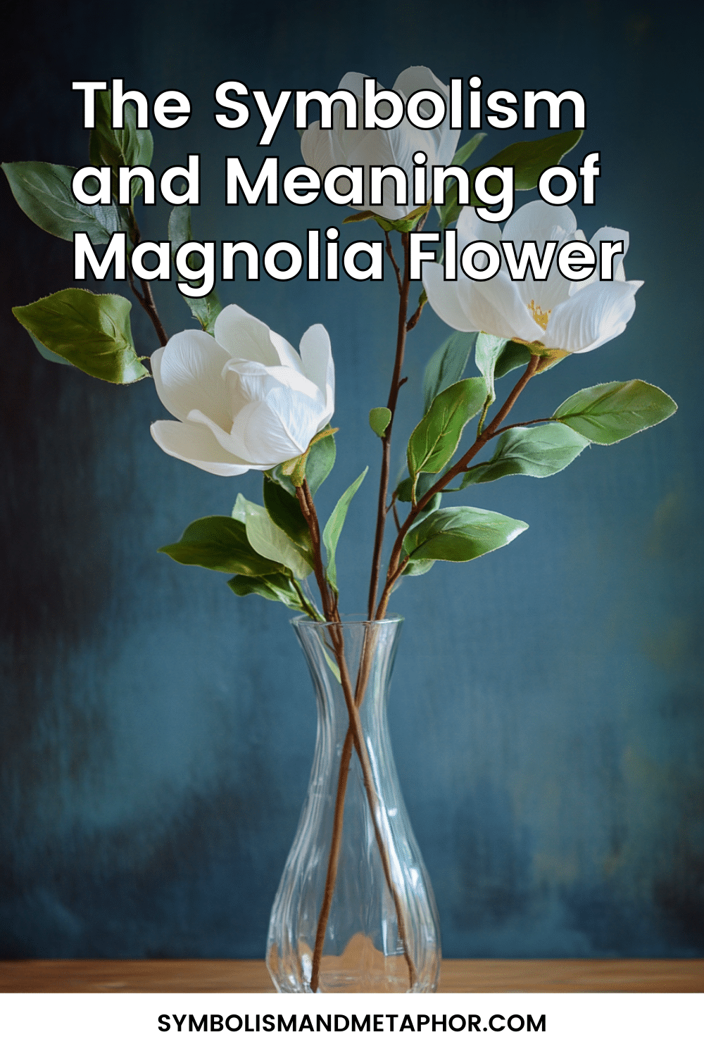 Magnolia Flower Meaning & Symbolism (Endurance & Love)
