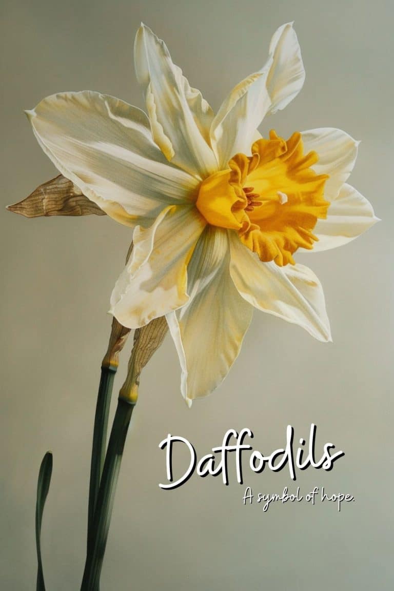 13 Flowers That Symbolize Hope (List & Pictures)