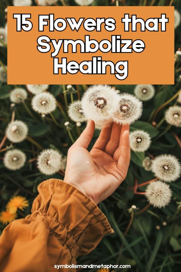 15 Flowers that Symbolize Healing (List & Pictures)