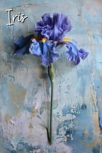 13 Flowers That Symbolize Hope (List & Pictures)