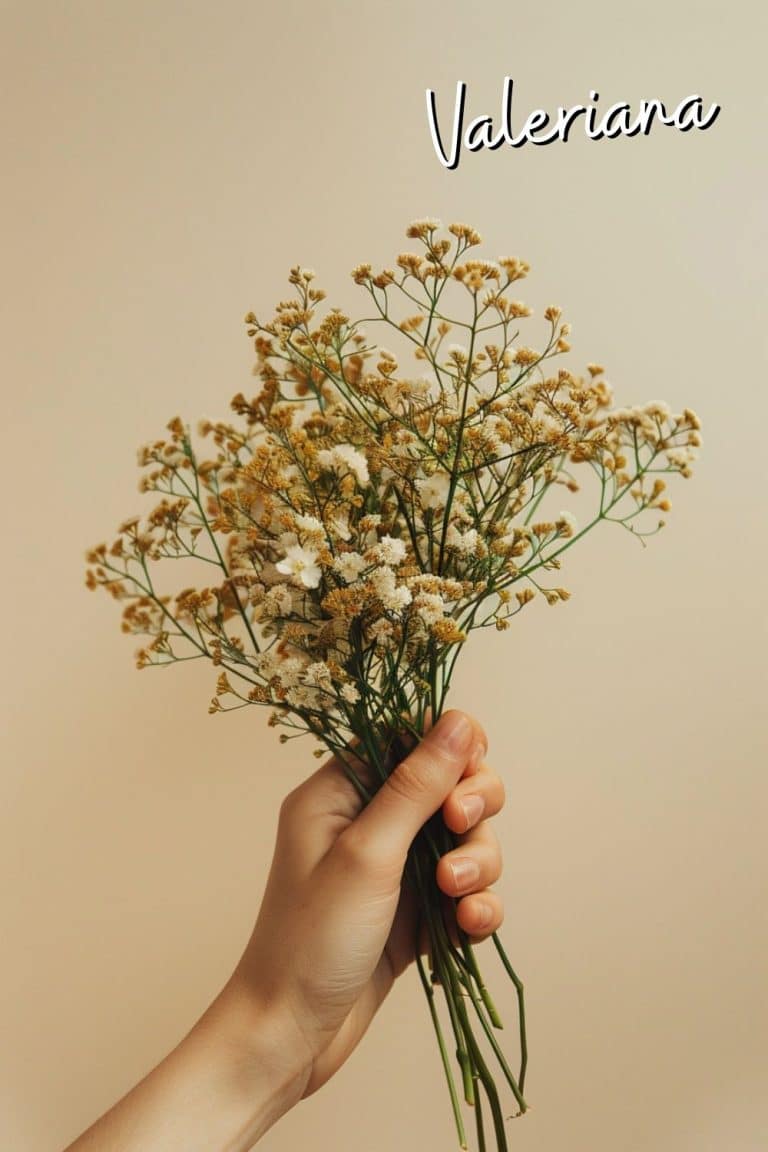 15 Flowers that Symbolize Healing (List & Pictures)