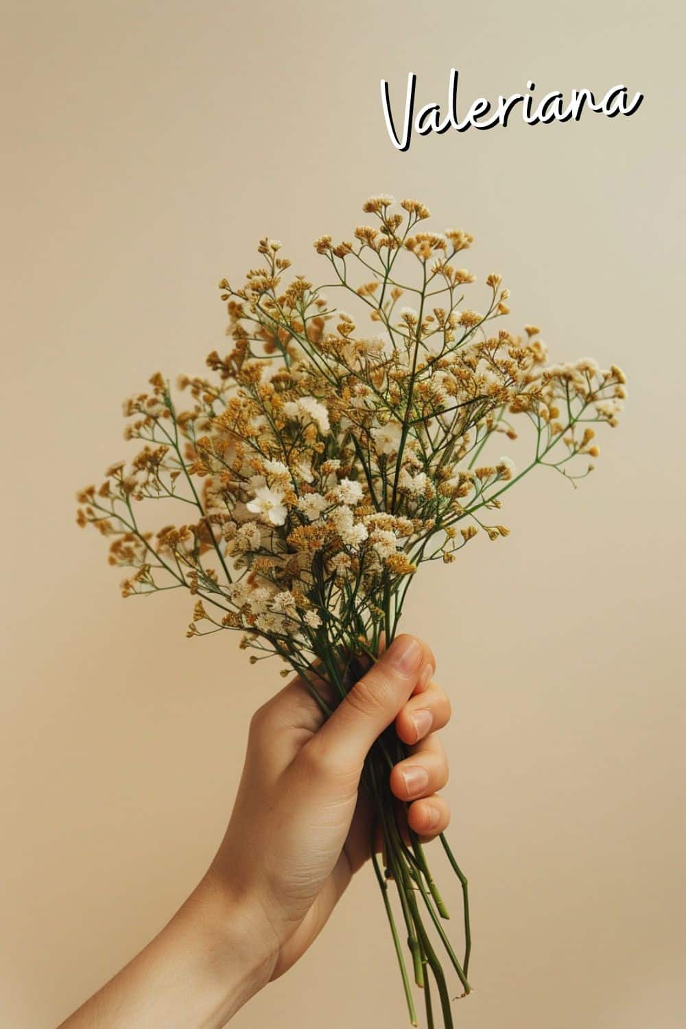 15 Flowers that Symbolize Healing (List & Pictures)