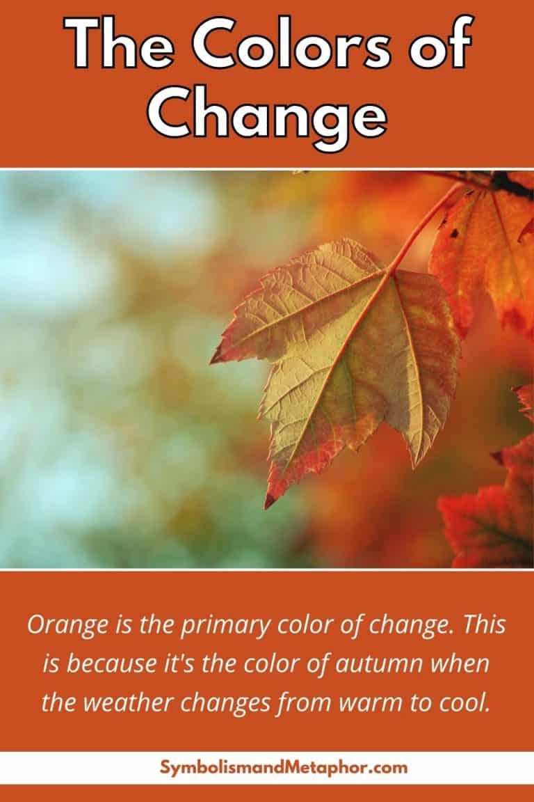 The 2 Colors That Represent Change (Orange & Blue)