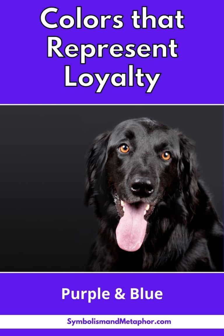The 2 Colors That Represent Loyalty (Blue and Purple)