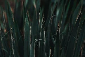 15 Best Metaphors for Darkness (A List for Writers)
