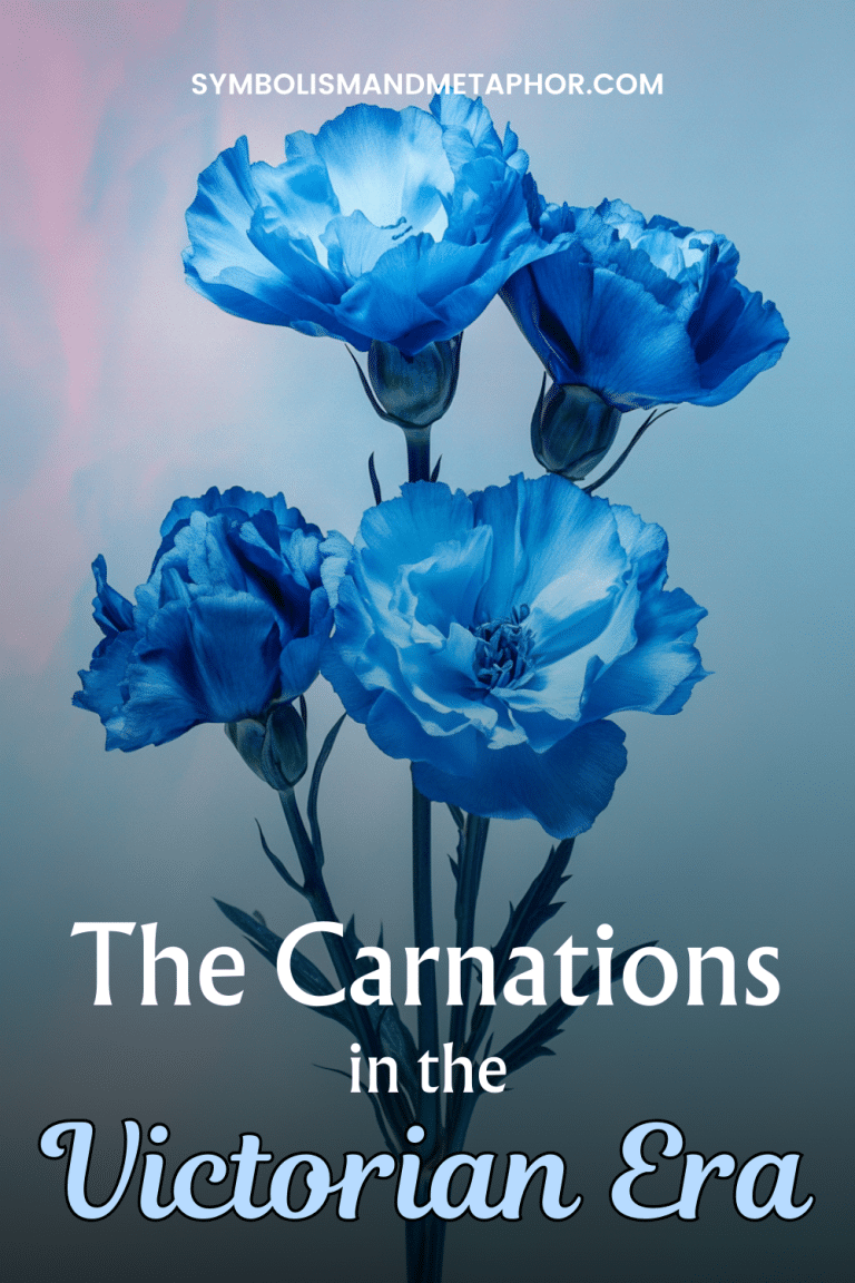 Blue Carnation Flower Meaning & Symbolism