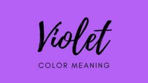 Violet Color Meaning and Symbolism (Delicacy & Creativity)