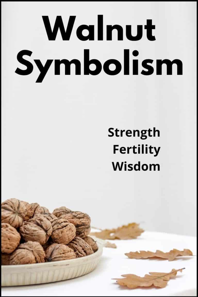 Walnut Symbolism and Meanings (Strength & Wisdom)