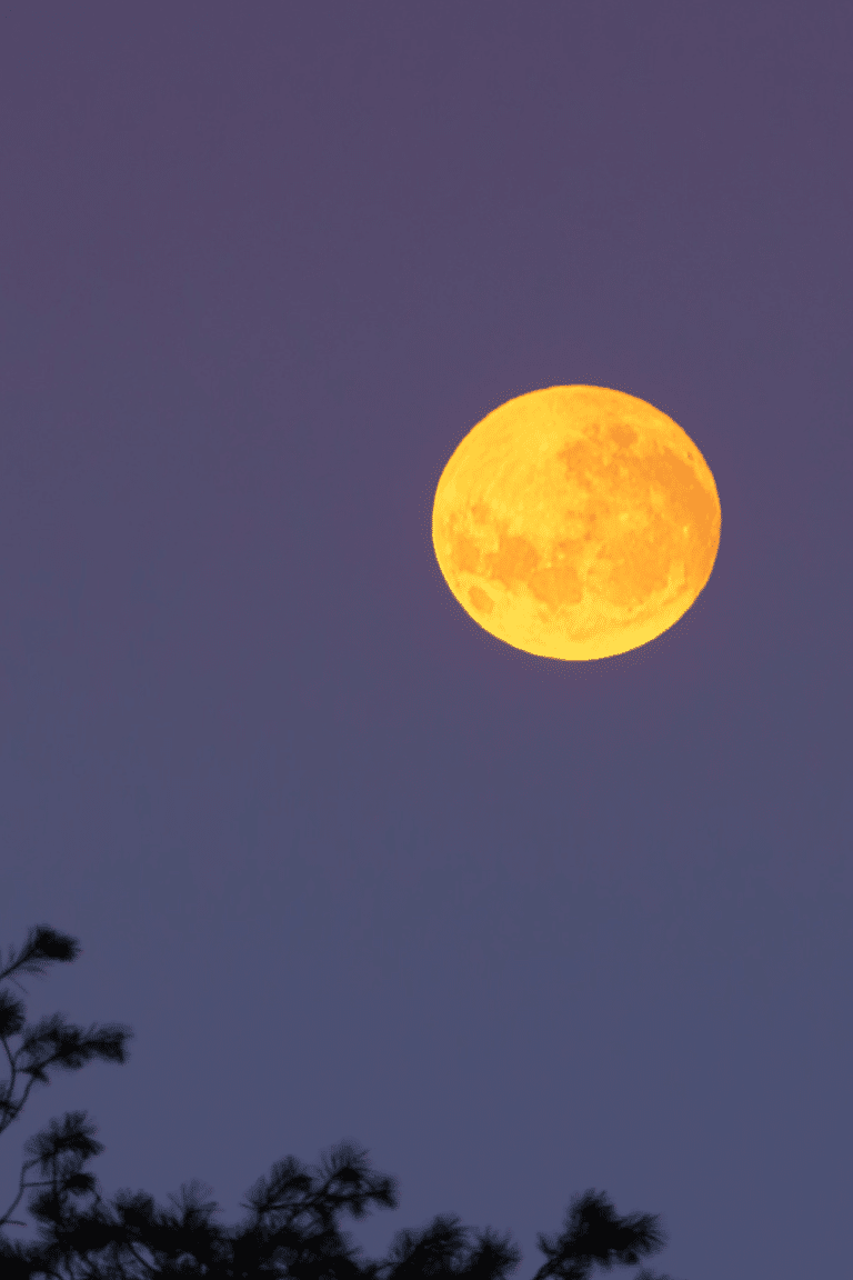 Yellow Moon Meaning and Symbolism (aka Harvest Moon)