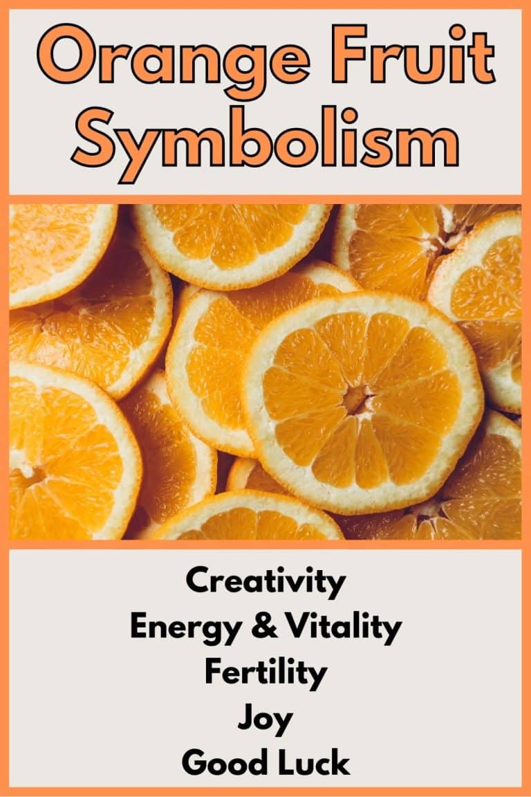 Orange Fruit Meaning and Symbolism (Luck and Prosperity)