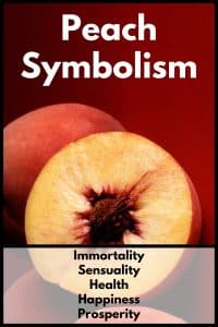 Peach Fruit Meaning and Symbolism (Immortality and Happiness)