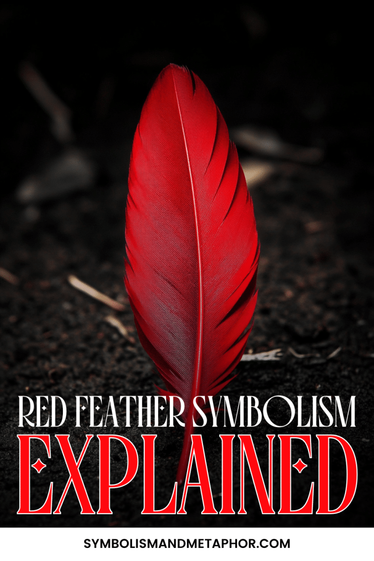 Red Feather Meaning and Symbolism (Happiness and Hope)