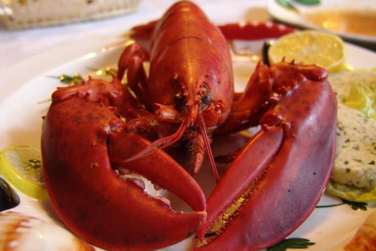 The Symbolism of Lobsters (8 Top Meanings)