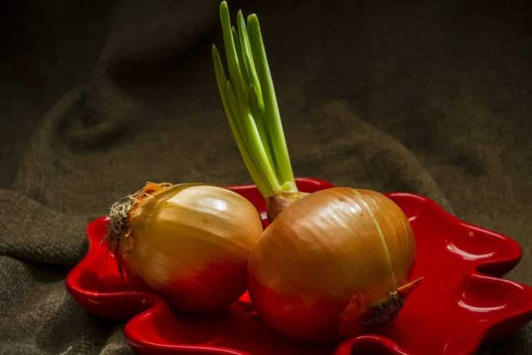 Onion Symbolism and Meaning (Protection & Jealousy)
