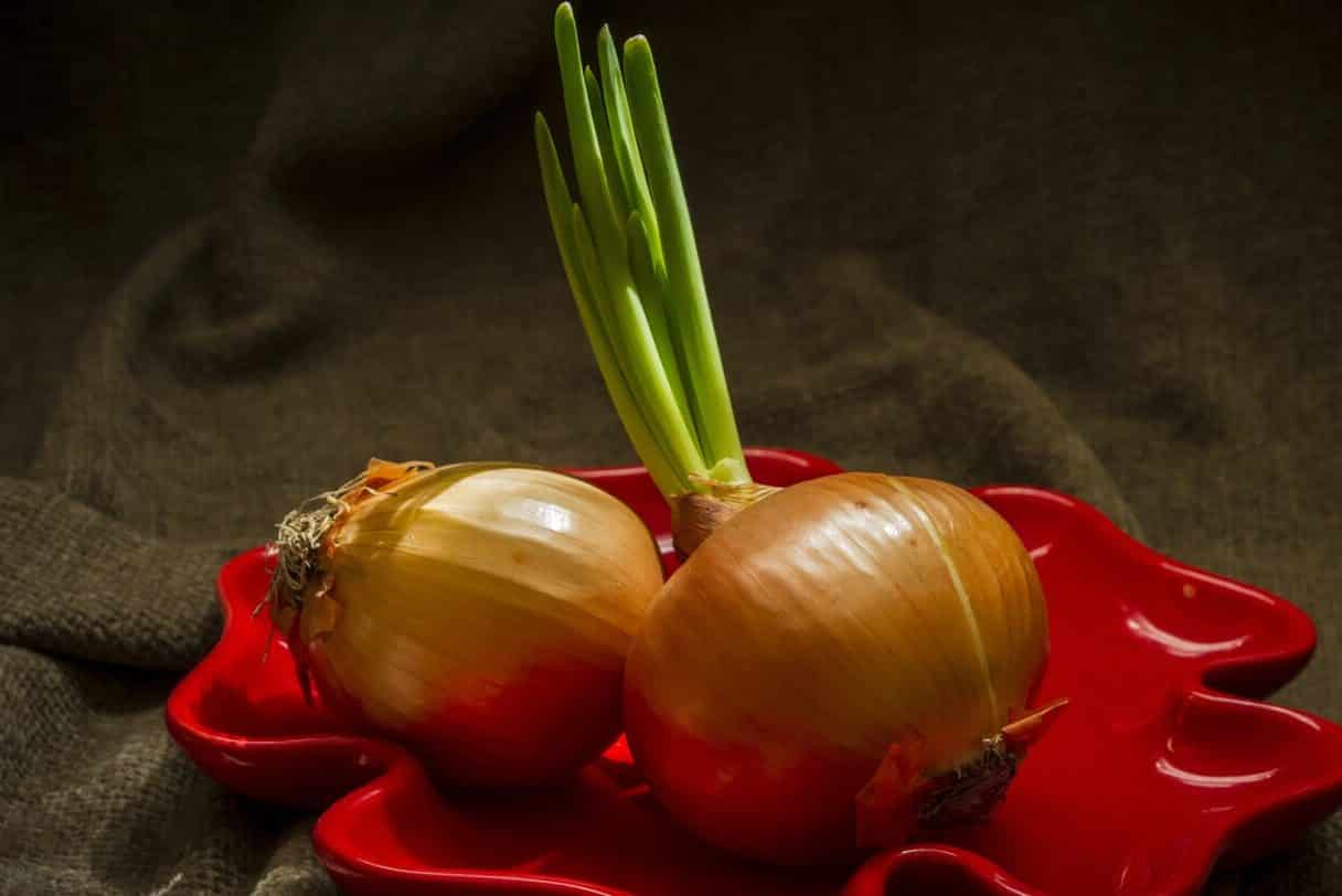 Onion Symbolism and Meaning (Protection & Jealousy)