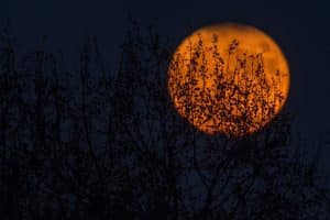 Orange Moon Meaning & Symbolism (Imbalance & Surprises)