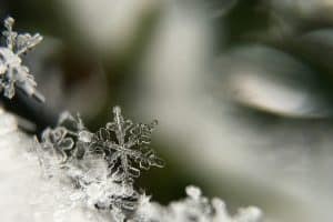 What do Snowflakes Symbolize? (Joy, Delicacy & Clarity)