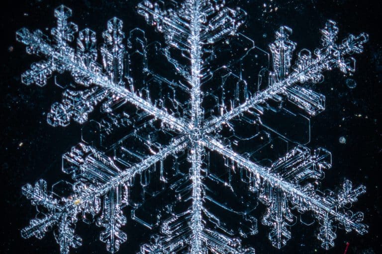 What do Snowflakes Symbolize? (Joy, Delicacy & Clarity)