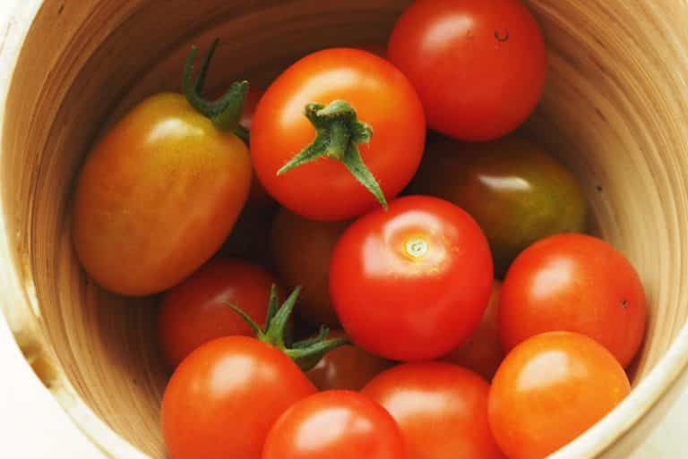 Tomato Symbolism and Dream Meanings (Love and Versatility)