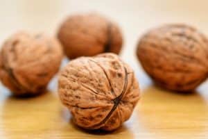 Walnut Symbolism and Meanings (Strength & Wisdom)