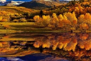 11 Best Fall Metaphors and Similes (aka Autumn)