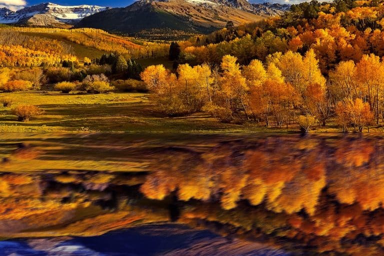11 Best Fall Metaphors and Similes (aka Autumn)