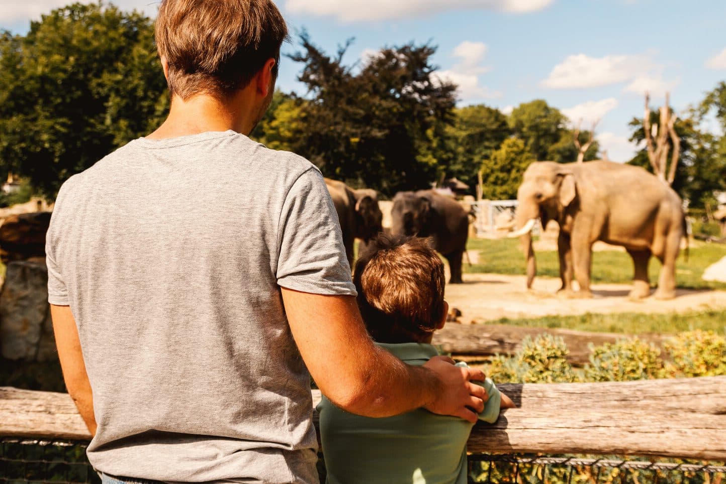 Elephant Symbolism (7 Meanings) - Dreams & Spirit Animals